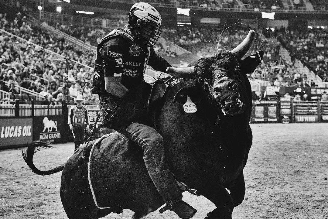 Riding – HAMBURGER EYES