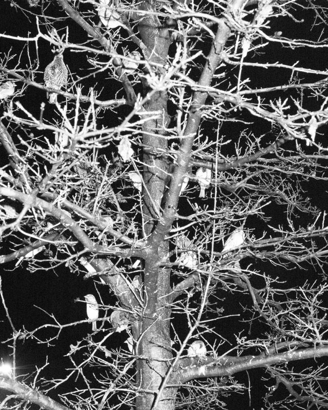 HAMBURGER EYES – Page 7 – Photo Magazine