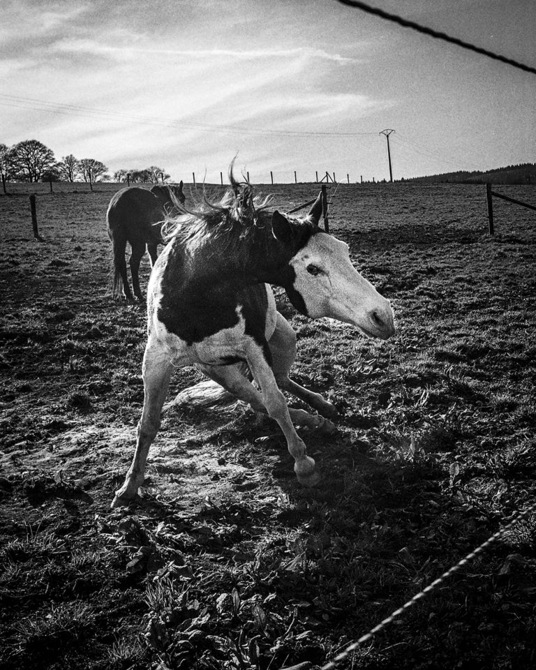 HAMBURGER EYES – Page 7 – Photo Magazine