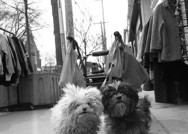 HAMBURGER EYES – Page 7 – Photo Magazine