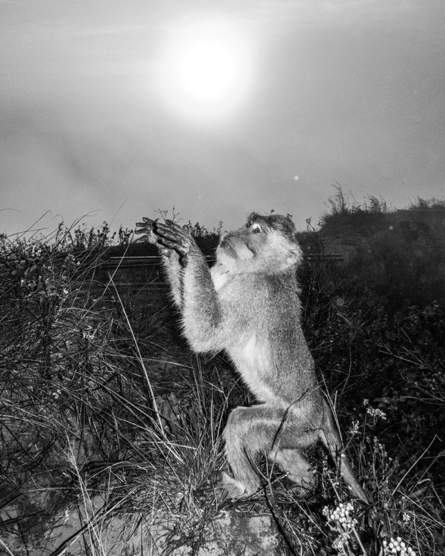 HAMBURGER EYES – Page 4 – Photo Magazine